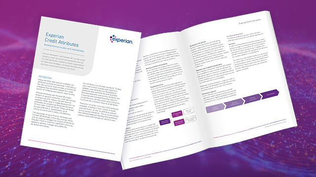 Report | Experian Credit Attributes